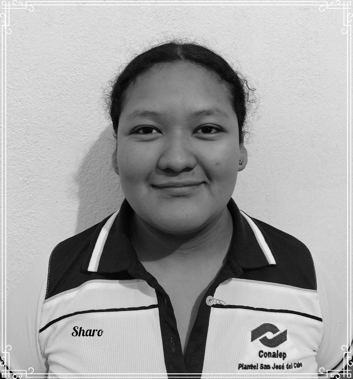 Program Profile - English As a Second Language - Liga MAC